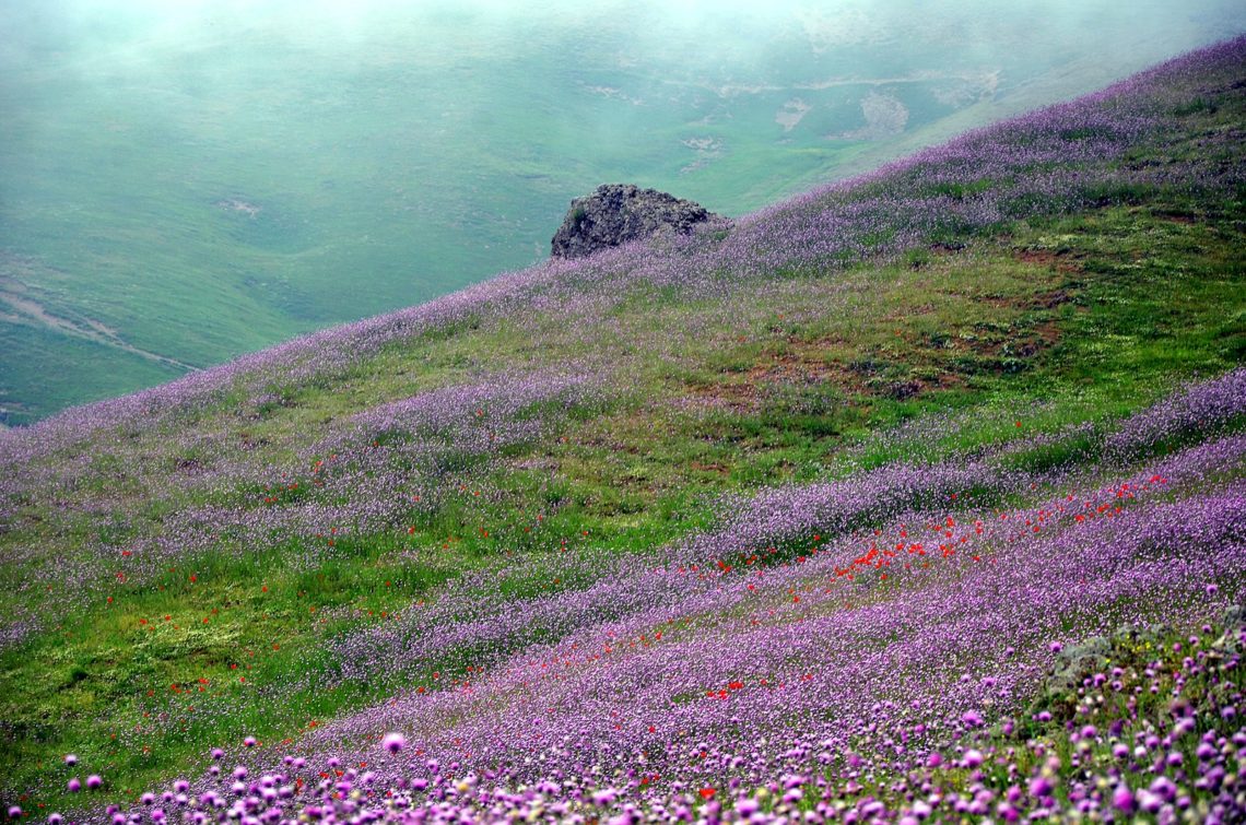 The Best Road Trip in Iran to Take by Bus | 1stQuest Blog