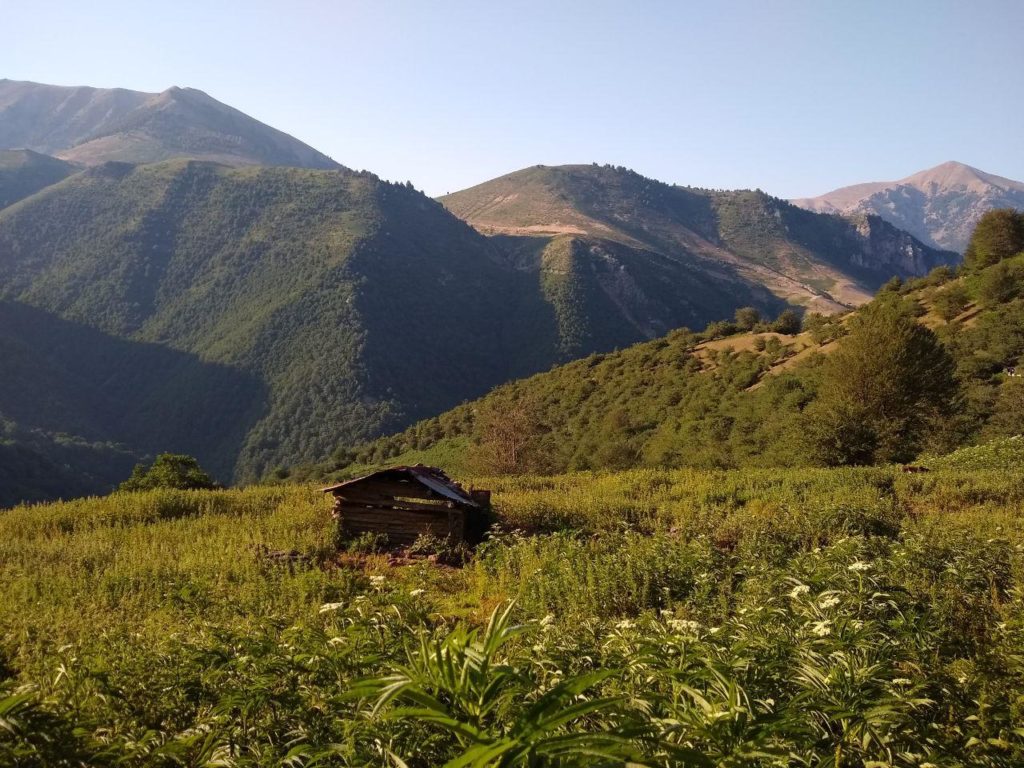 What are the best things to do in Gilan? | 1stQuest Blog